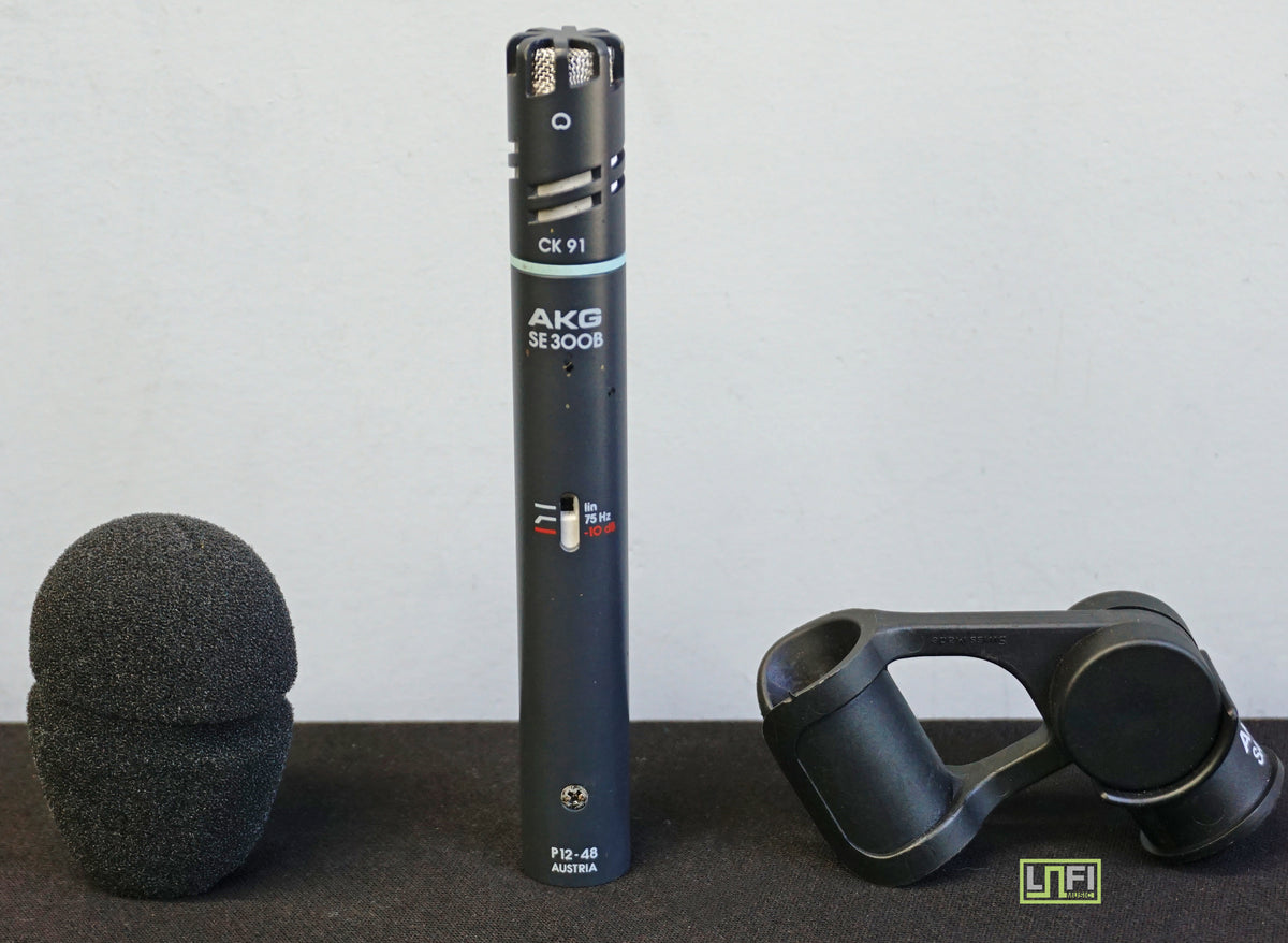 AKG C391B (SE300/CK91) High-Performance Small-Diaphragm Condenser Micr ...